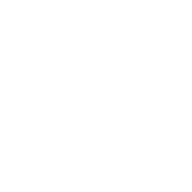 Ninja Transfers — Professional DTF Transfers & Custom Apparel Solutions